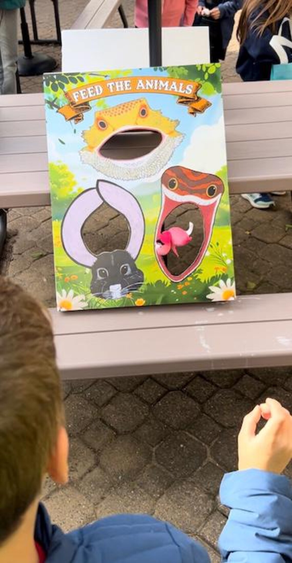 Wildlife Game, Toss Game, Carnival Party, Rabbit Game, Snake Game ...