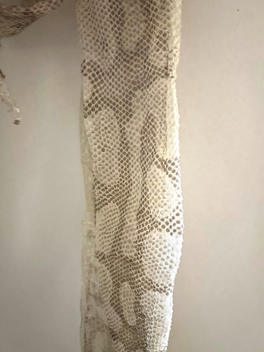 Ball Python, Snake Shed, Snake Party, Party Decoration, Snake Gift, Snake Skin - Etsy