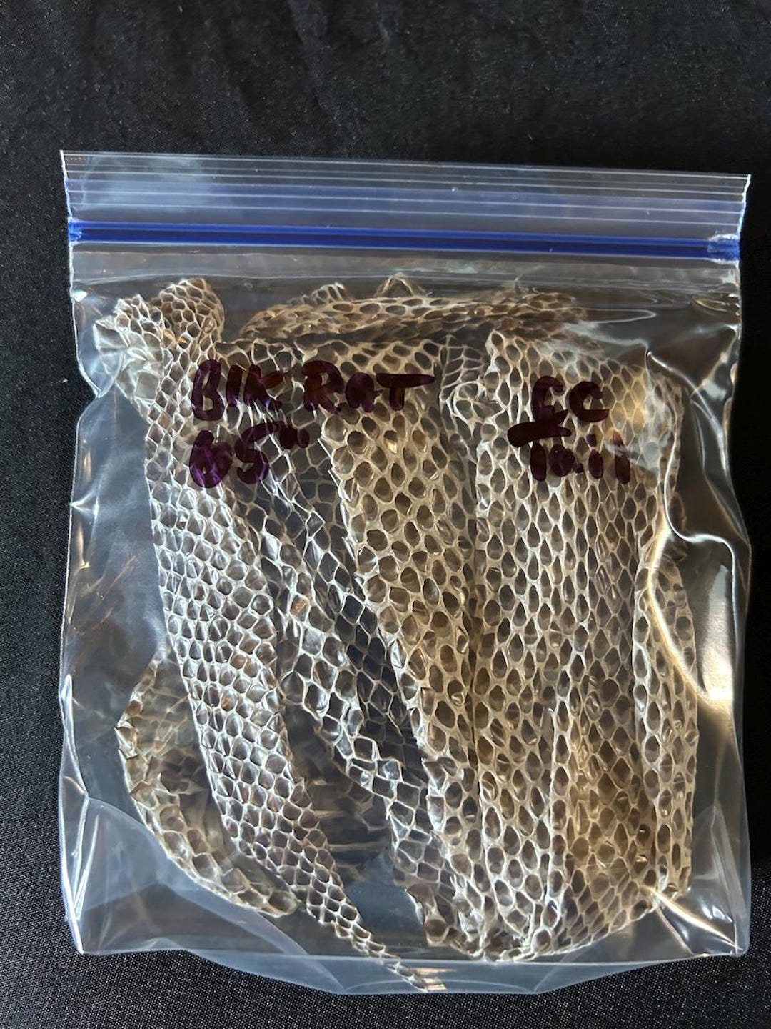 Snake Shed, Boa Constrictor Shed, Snake Party, Decoration, Snake Gift ...