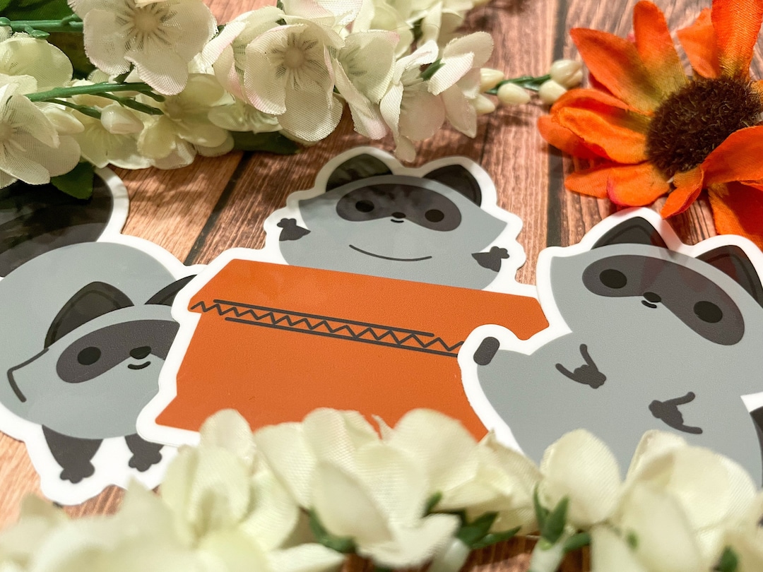 Raccoon Vinyl Sticker Set | Cute Raccoon Sticker | Trash Panda Sticker ...