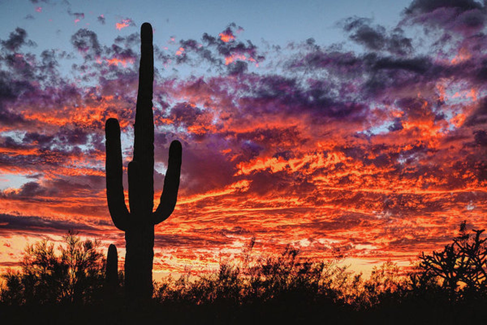 Arizona Sunset Print, Saguaro Cactus, Fine Art Photography, Tucson AZ ...