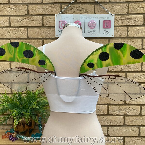 Ladybug Wings - Etsy