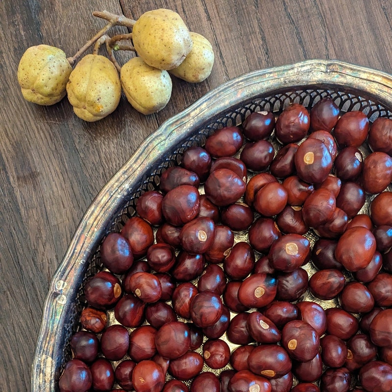 Buckeye Keychain - Etsy