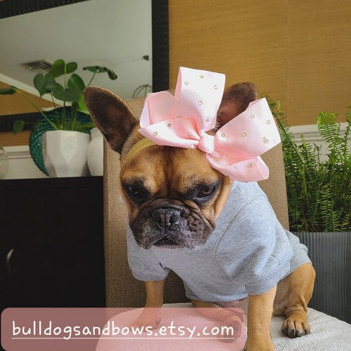 The Perfect Pink Dog Bow French Bulldog Accessories - Etsy
