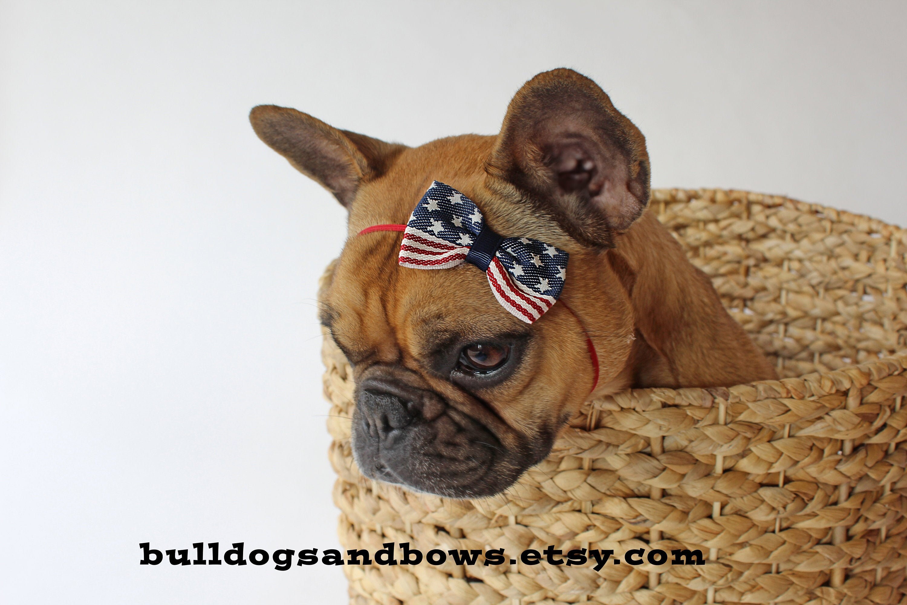 Americana Pup Flag Bow American Flag Dog Headband French - Etsy