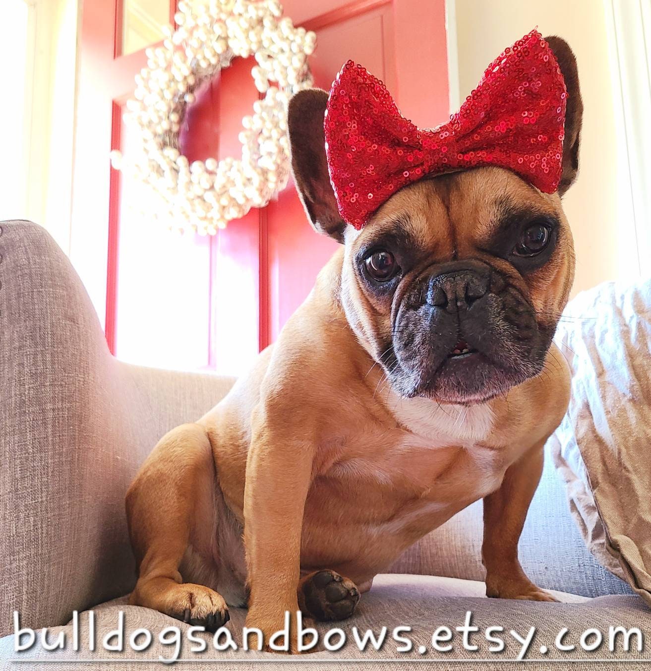 Big Stand-up Sparkly Red Frenchie Bow Fun Glittery Sequin - Etsy