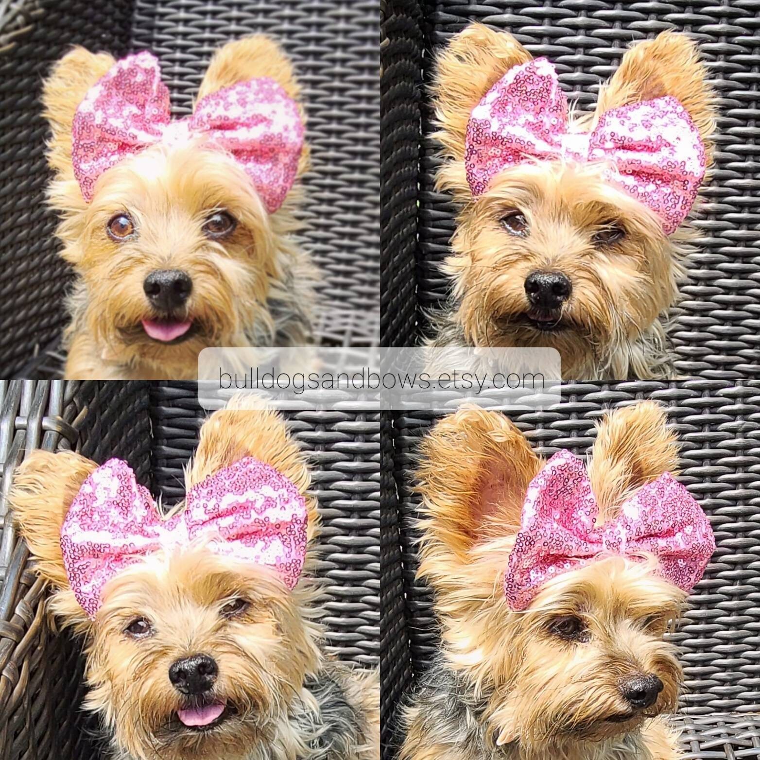 Glittering Pink Pet Bow - Sparkly Sequin Bows for Dogs - French Bulldog ...