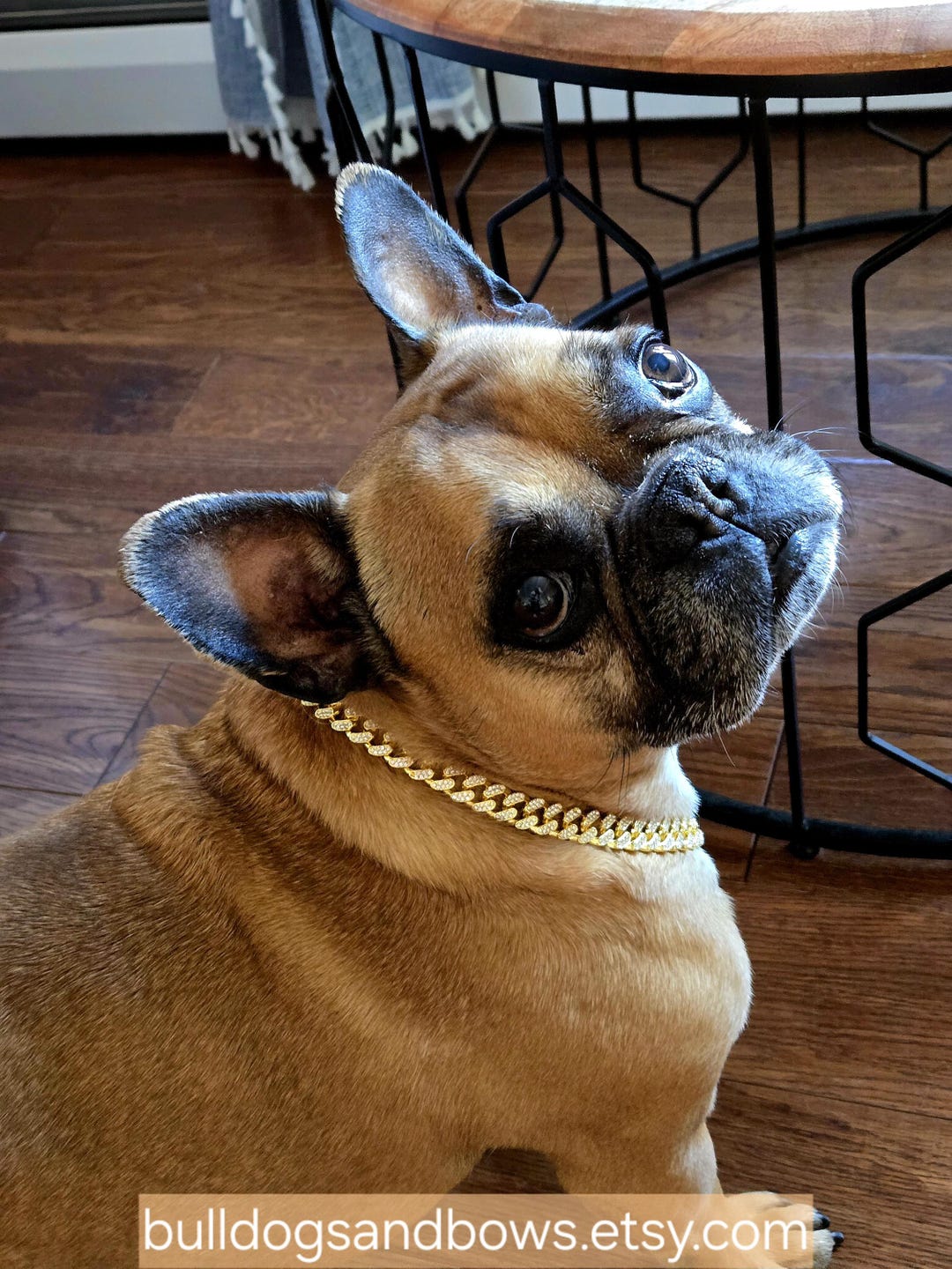Bully Bling - Fun Faux Gold & Diamond Dog Chain - Bully Breed Style - Etsy