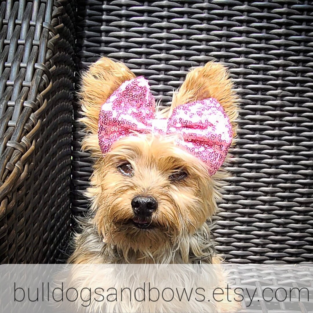 Glittering Pink Pet Bow - Sparkly Sequin Bows for Dogs - French Bulldog ...