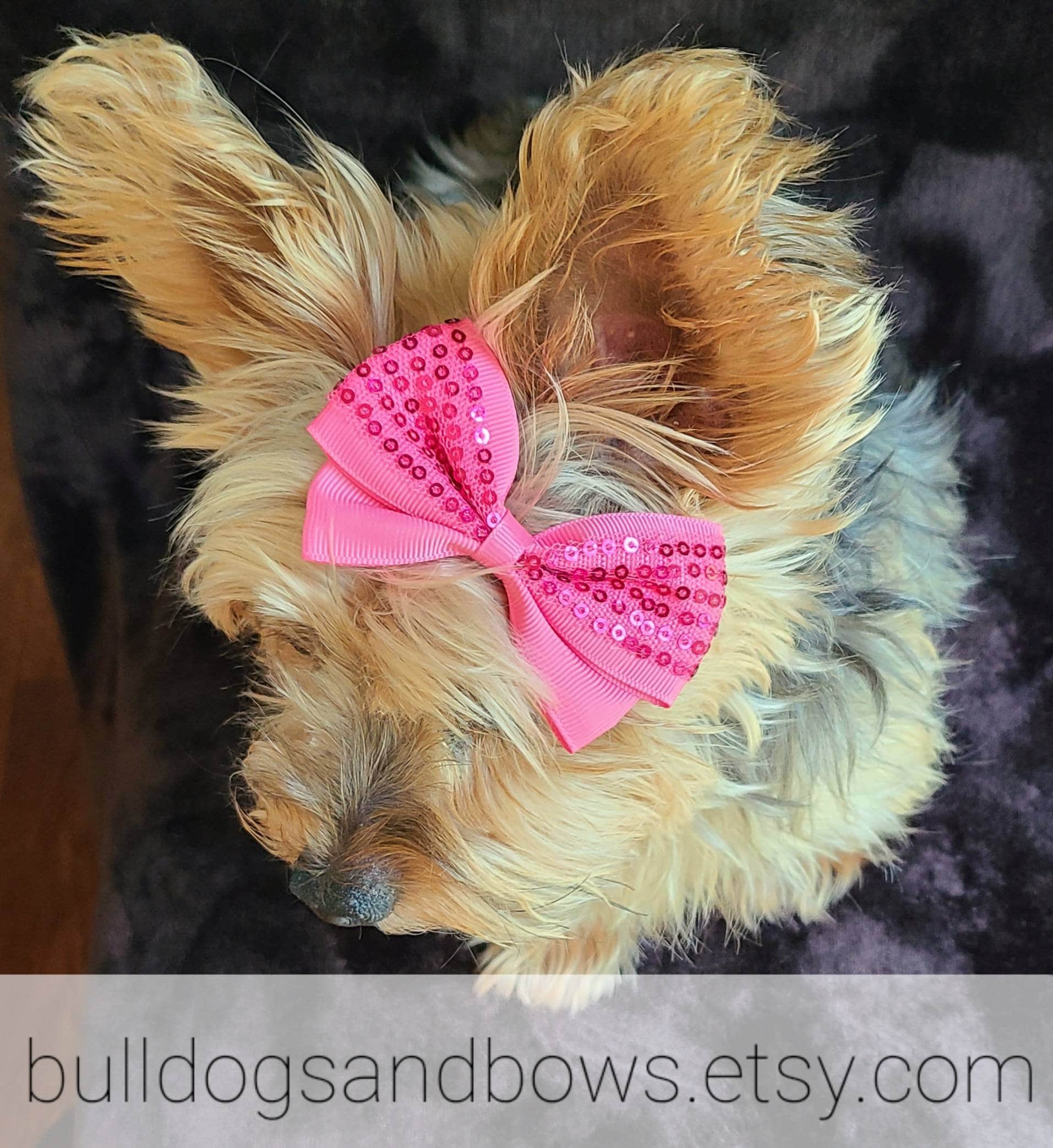 Pink, Red, and More Colors Sweet Dog Bow - French Bulldog Accessories ...