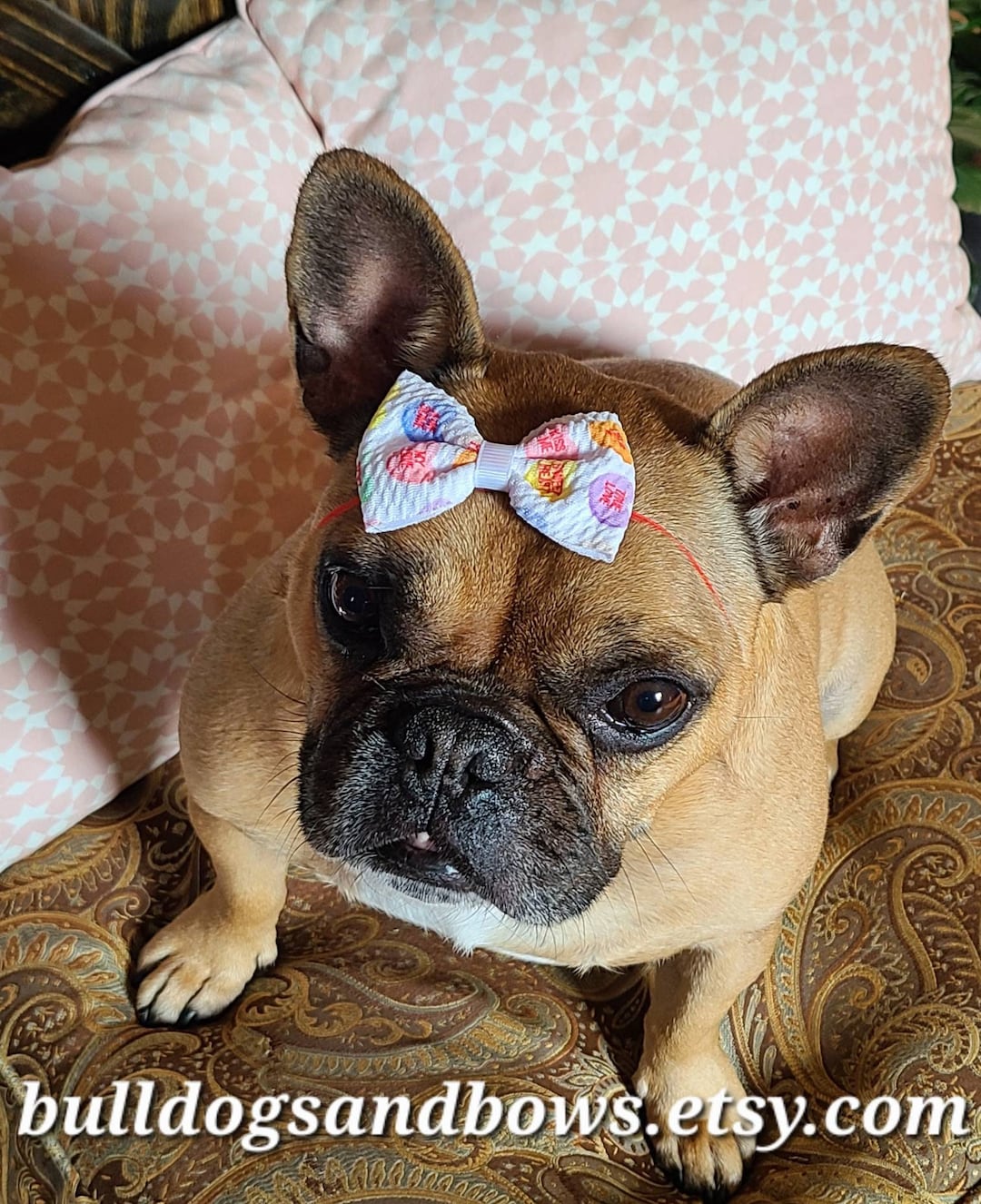 Cute Conversation Hearts Candy Bow for Valentine's Day - Sweet Dog ...