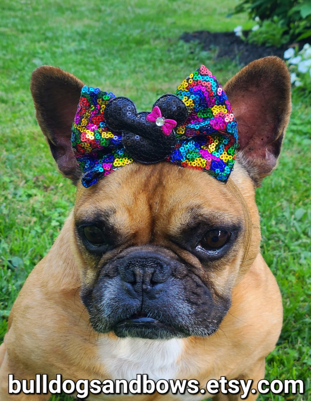 I'm A Big Fan of Rainbow - Colorful Stand-up Sparkly Character Frenchie ...