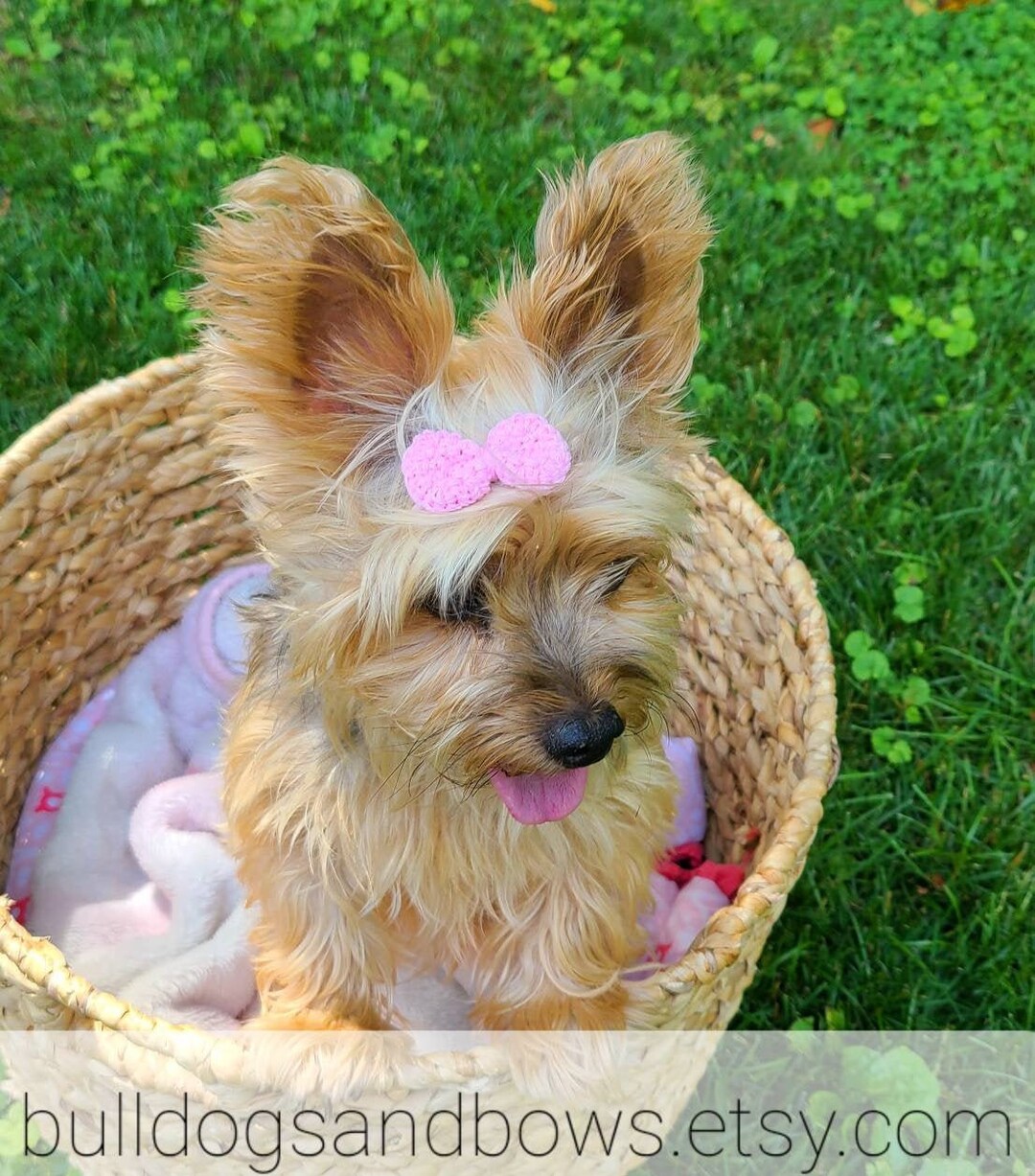 Soft Crochet Puppy Bows Available in Many Colors - Adorable Dog ...