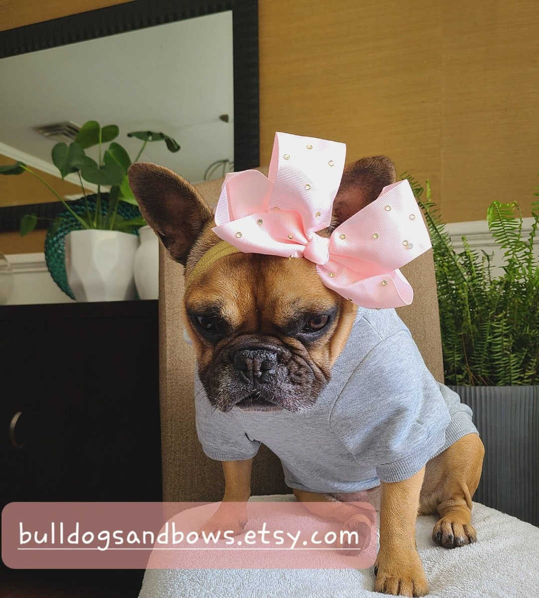 Over-the-top Pink Dog Bow With Rhinestone Sparkle - French Bulldog ...