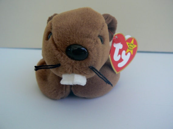 BUCKY the Beaver TY Inc Beanie Babies Collection MINT | Etsy