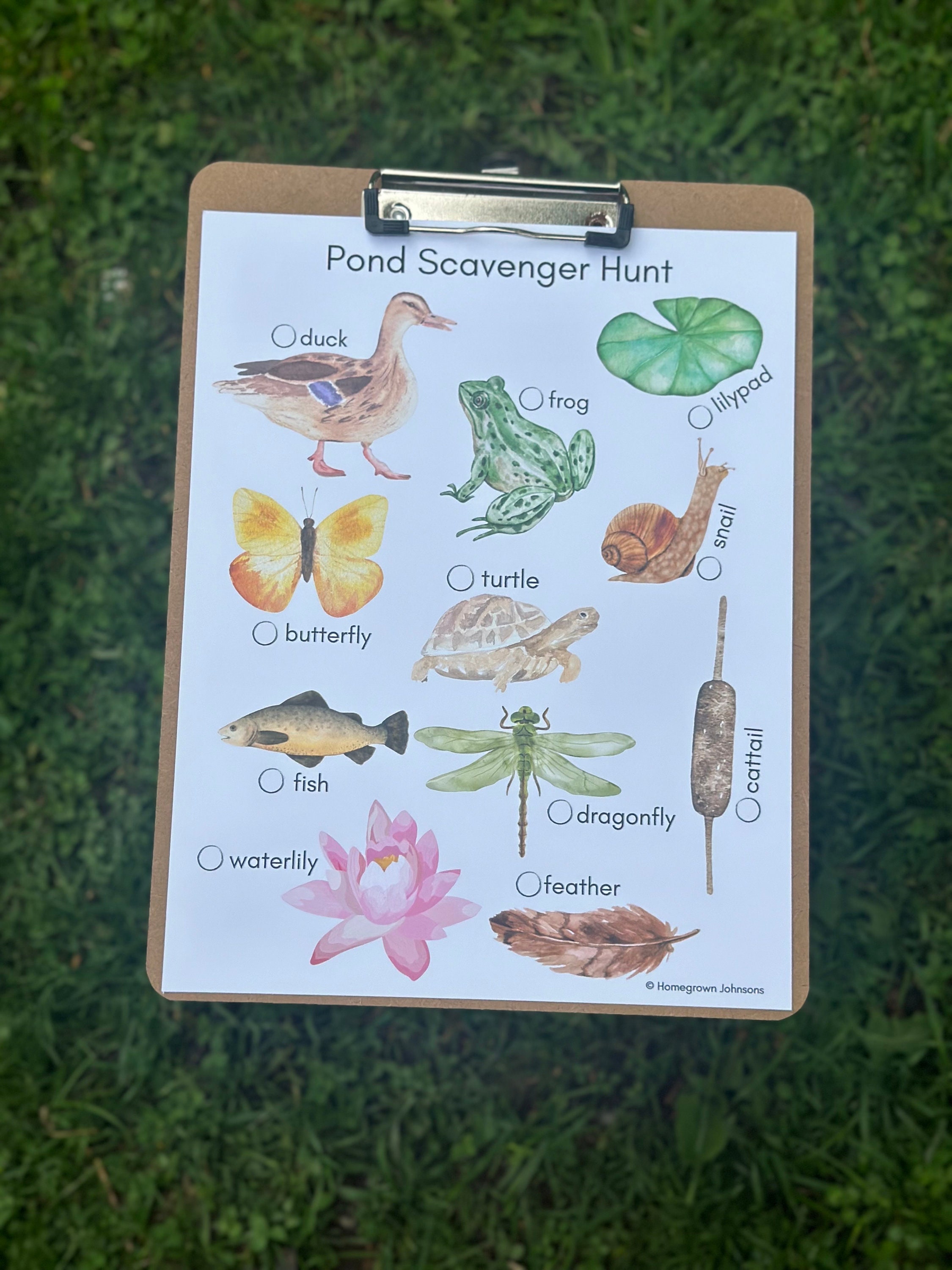 Pond Scavenger Hunt - Nature Printable - Digital Download - Outdoor ...