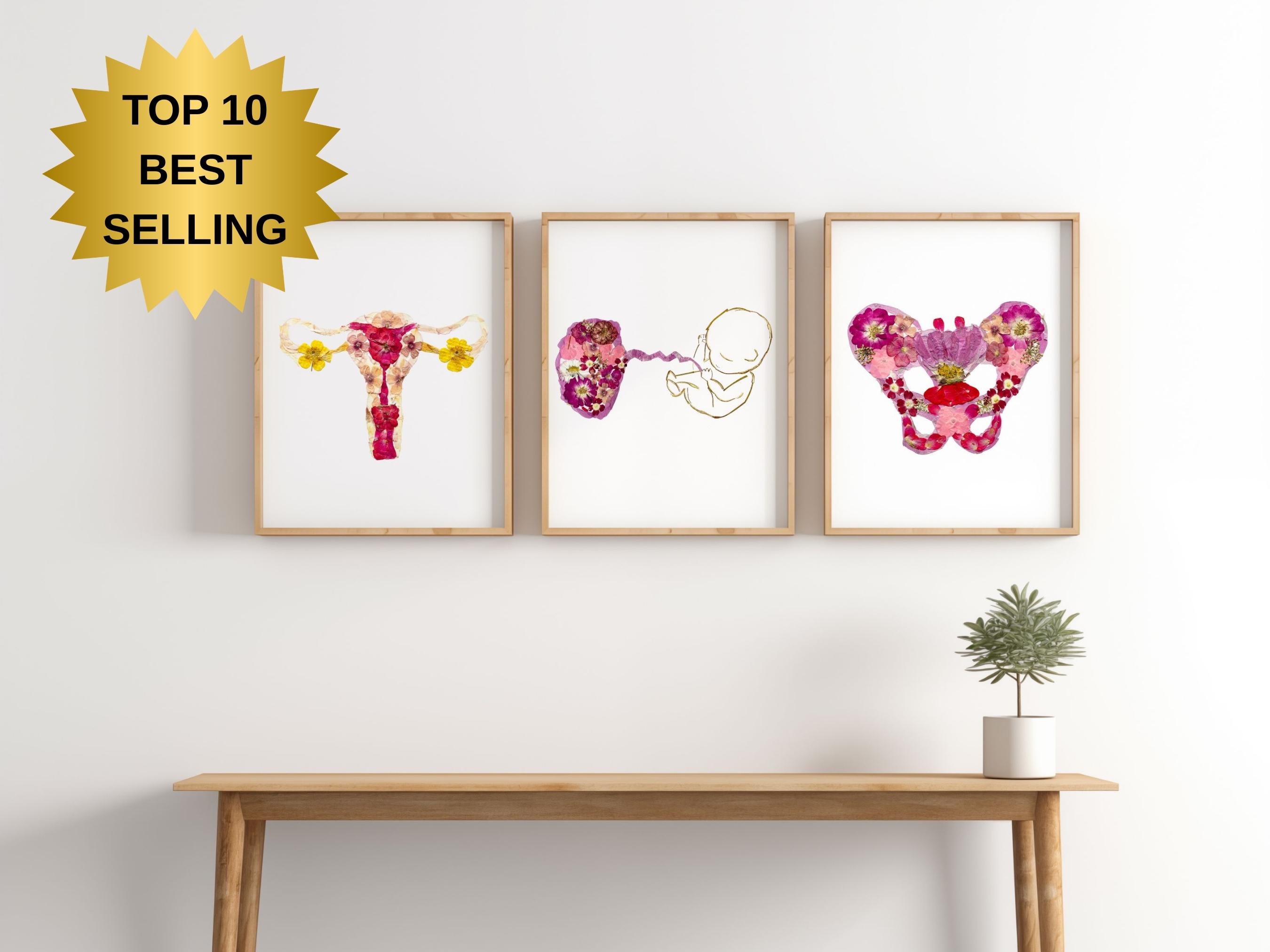 OBGYN Wall Art Set Botanical Anatomy Prints for Gynecologist Office ...