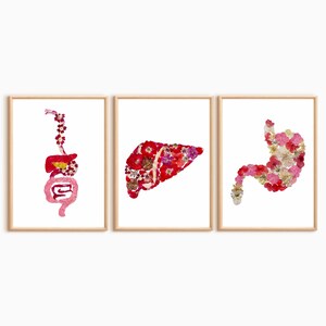 Digital Gastroenterologist Wall Art Set 3 Anatomical Prints of Liver ...