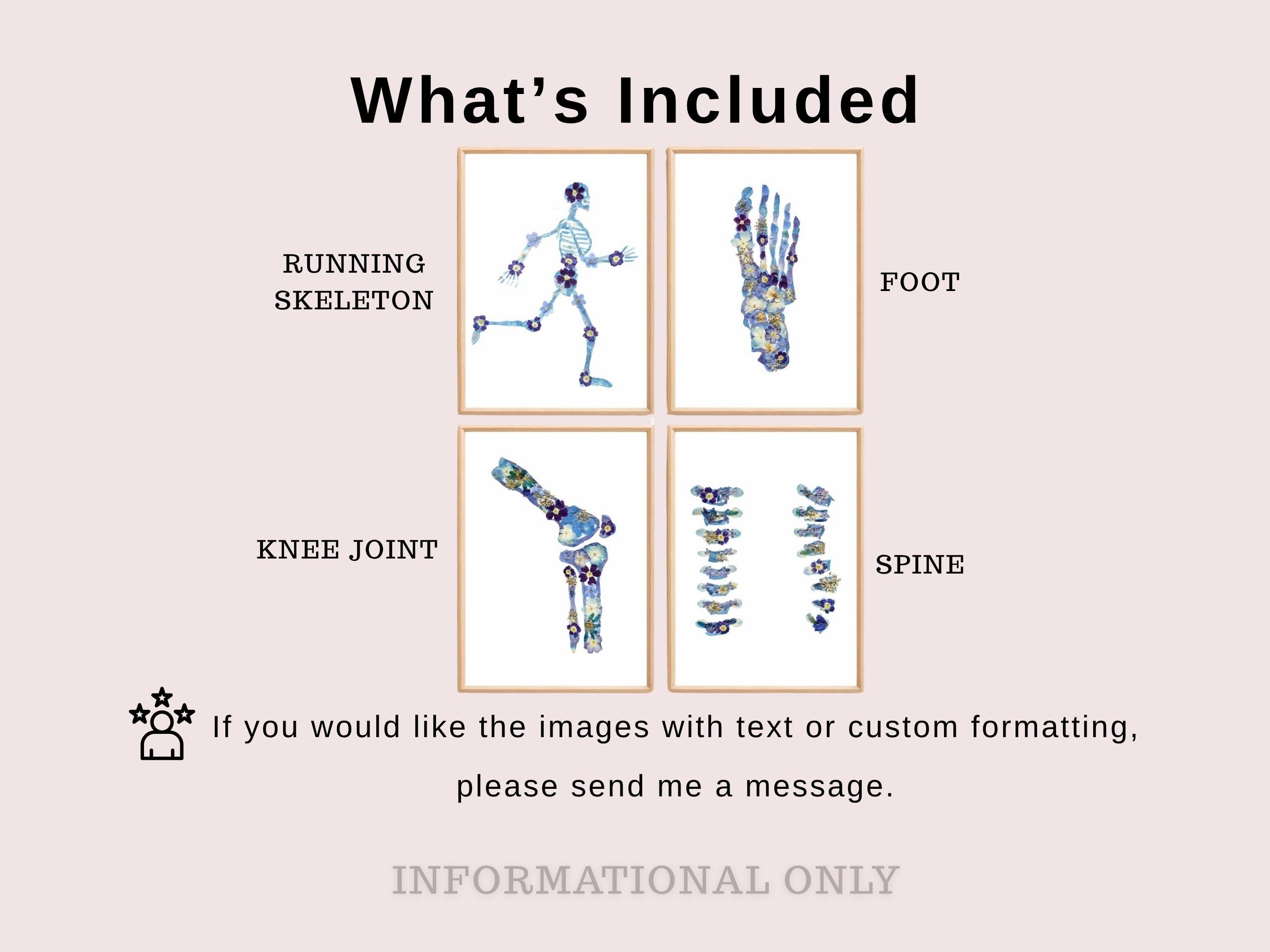 Physical Therapy Wall Art Set of 4 Prints, Physiotherapy Office Decor ...