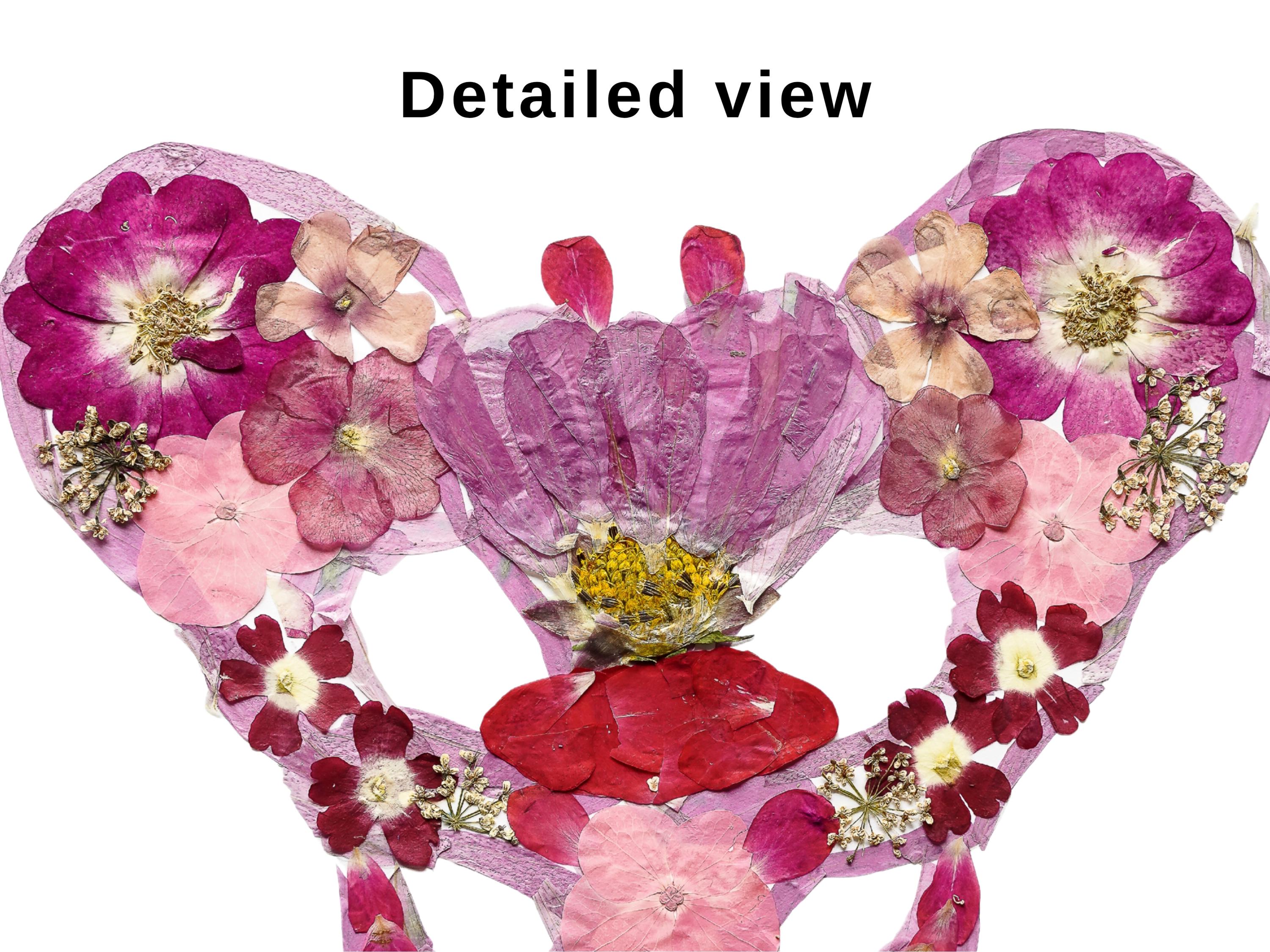 Pelvis, Baby With Placenta and Fetus in Womb Prints Female Reproductive ...