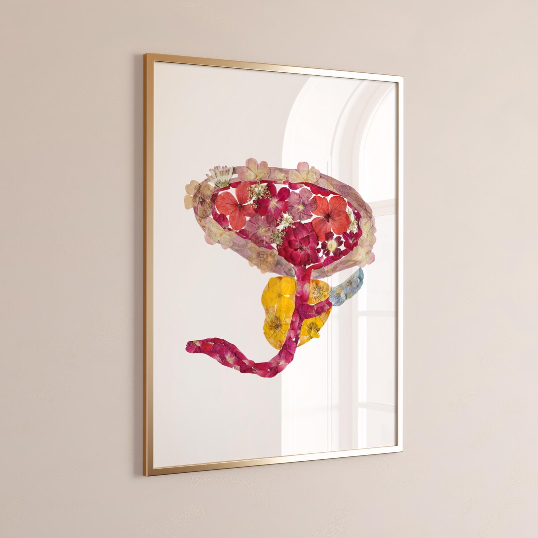 Digital Prostate Gland Botanical Print, Urology Wall Art - Etsy