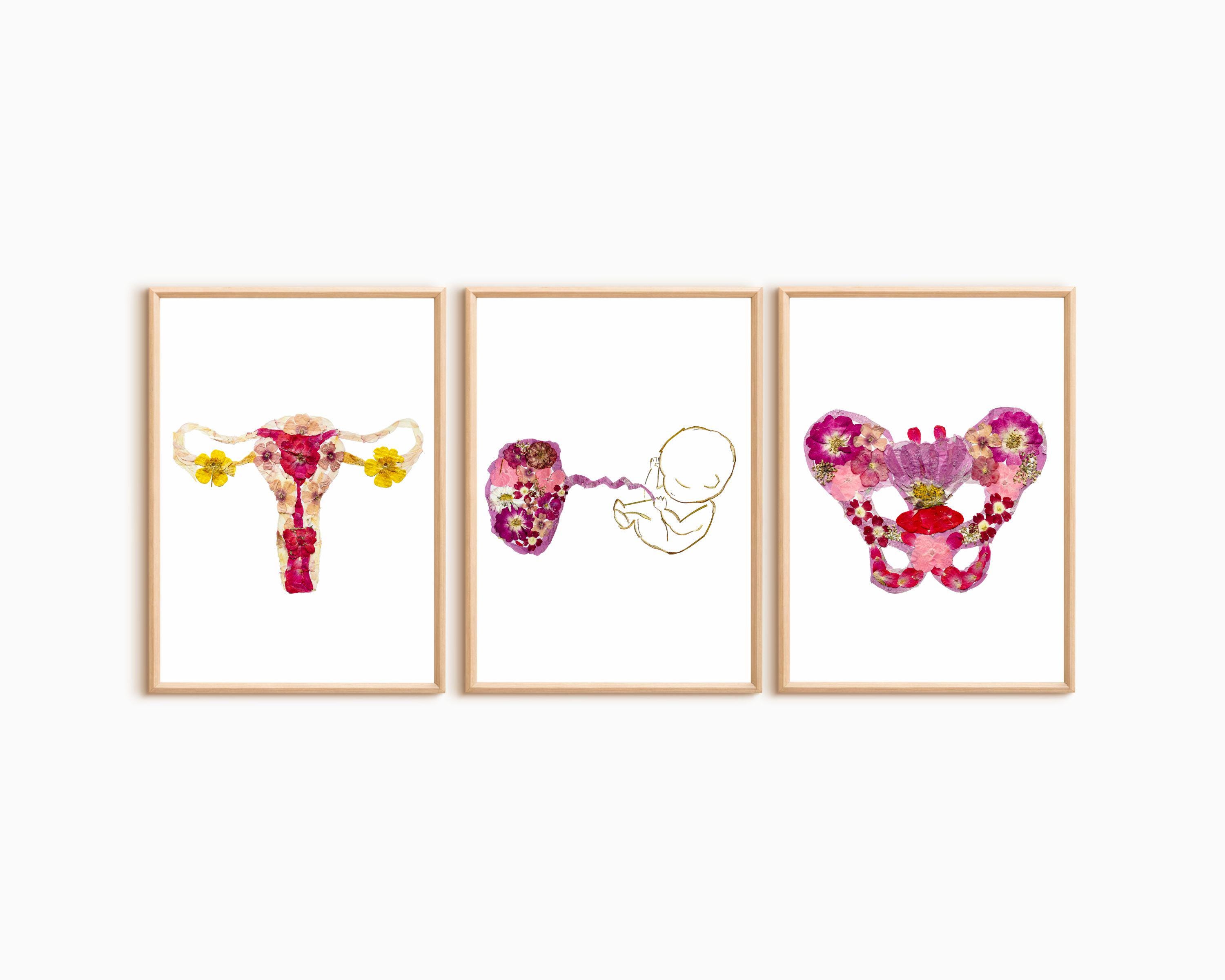 OBGYN Wall Art Set Botanical Anatomy Prints for Gynecologist Office ...