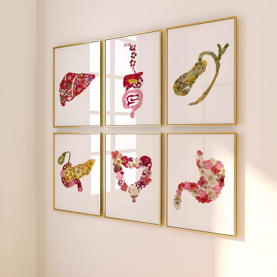 Set of 6 Gastroenterologist Wall Art Medical Office Decor for GI ...