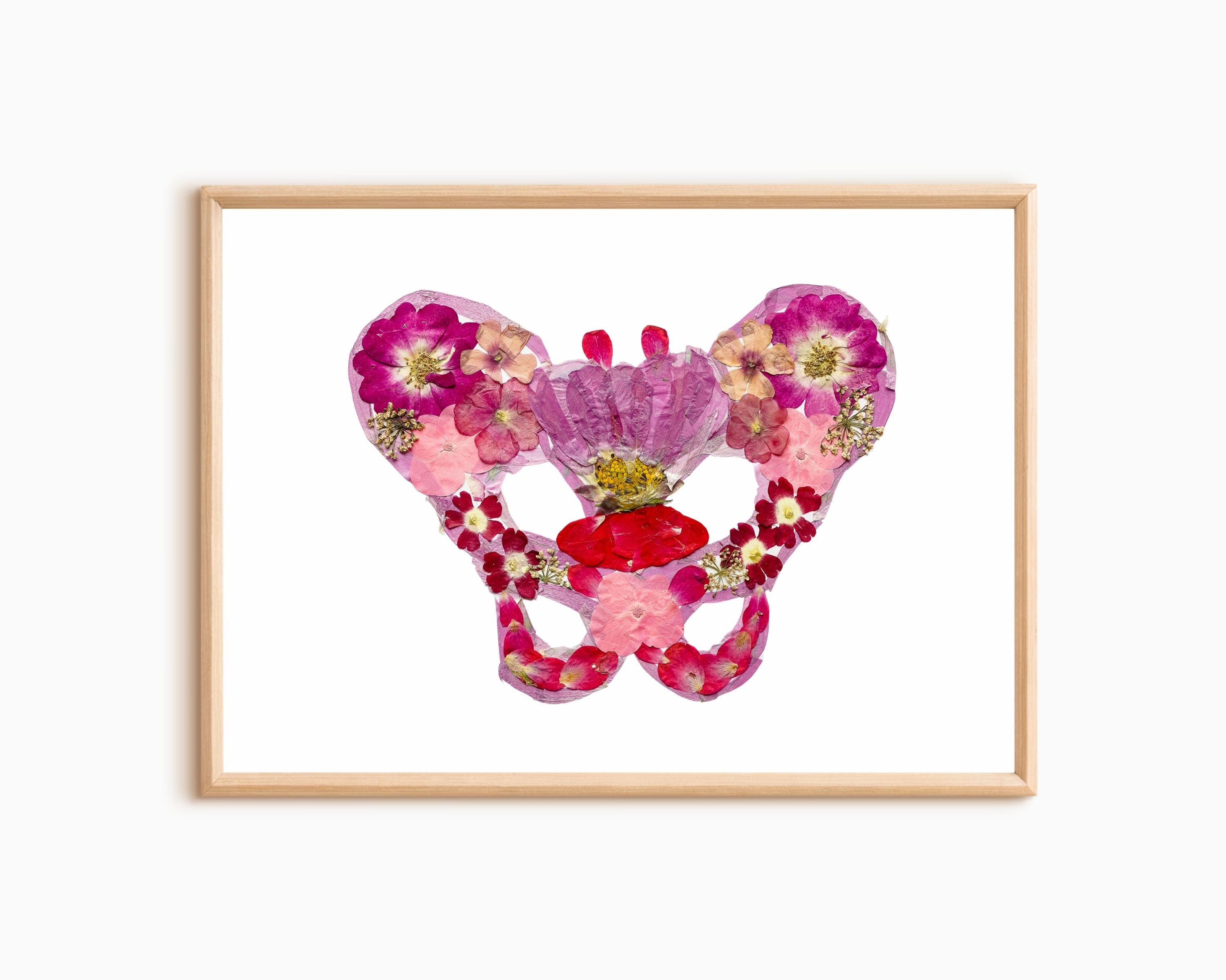 Pelvis, Baby With Placenta and Fetus in Womb Prints Female Reproductive ...
