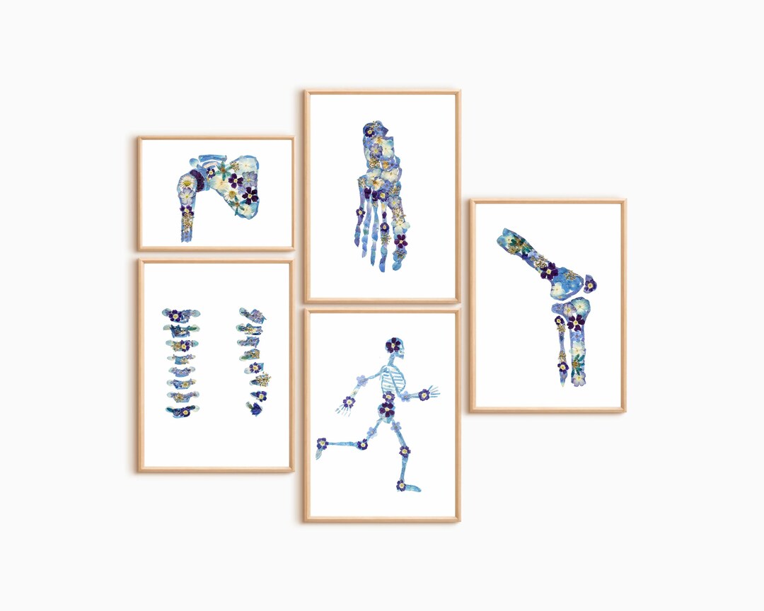 Rehabilitation Specialist Wall Art Set Floral Anatomy Prints for Physio ...