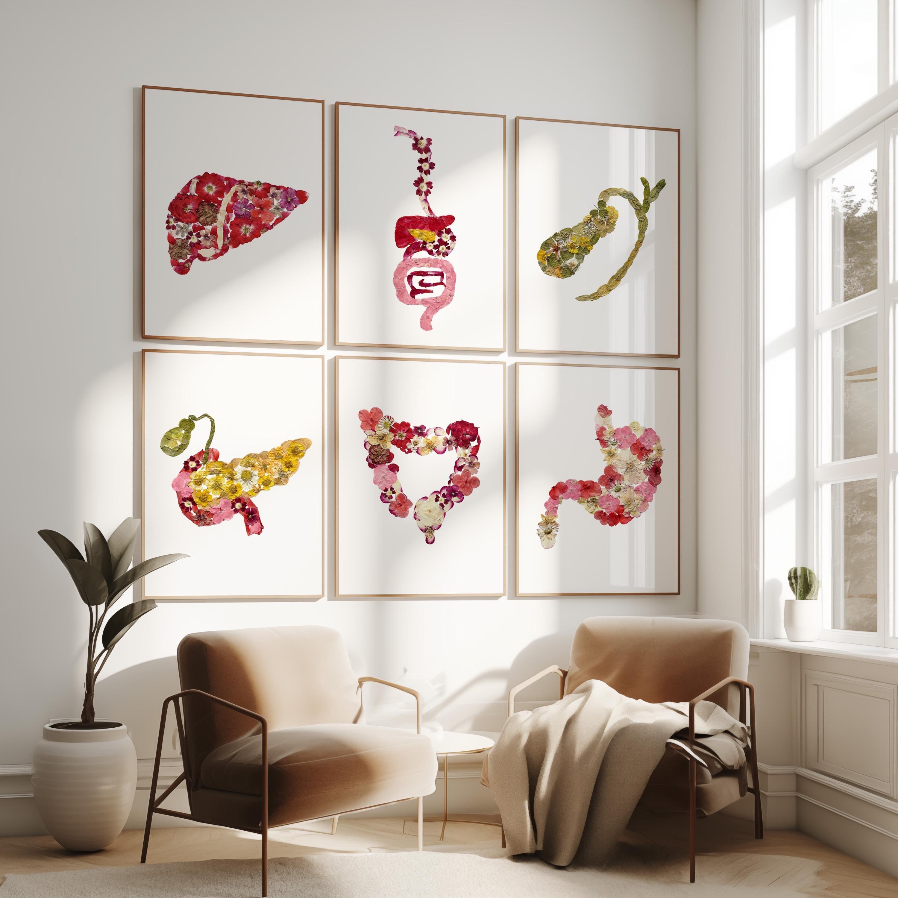 Set of 6 Gastroenterologist Wall Art Medical Office Decor for GI ...