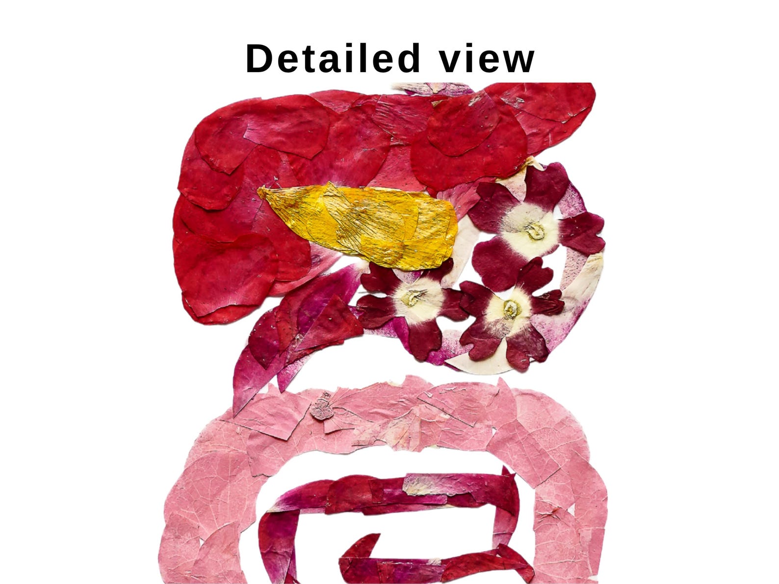 Human Digestive System Art Print – Anatomical Wall Poster, Gift for ...