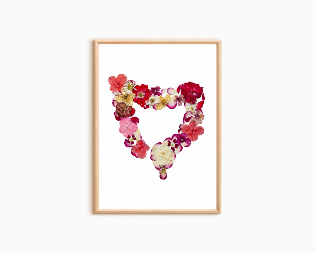 Digital Large Intestine Wall Art – Printable Anatomy Poster, Gut Health ...