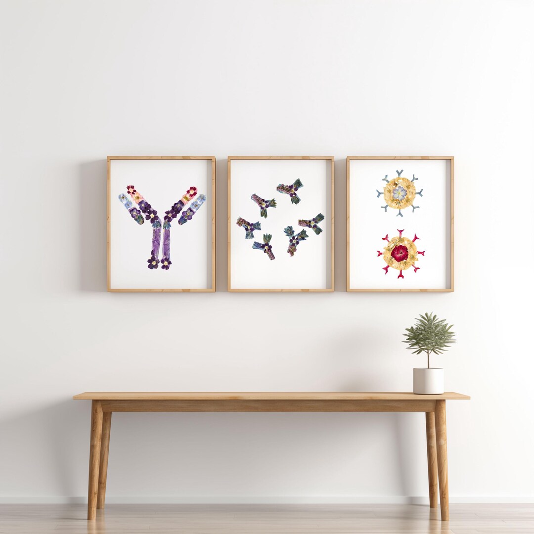 Set of 3 Adaptive Immune System Prints for Immunologists – T Cell, B ...