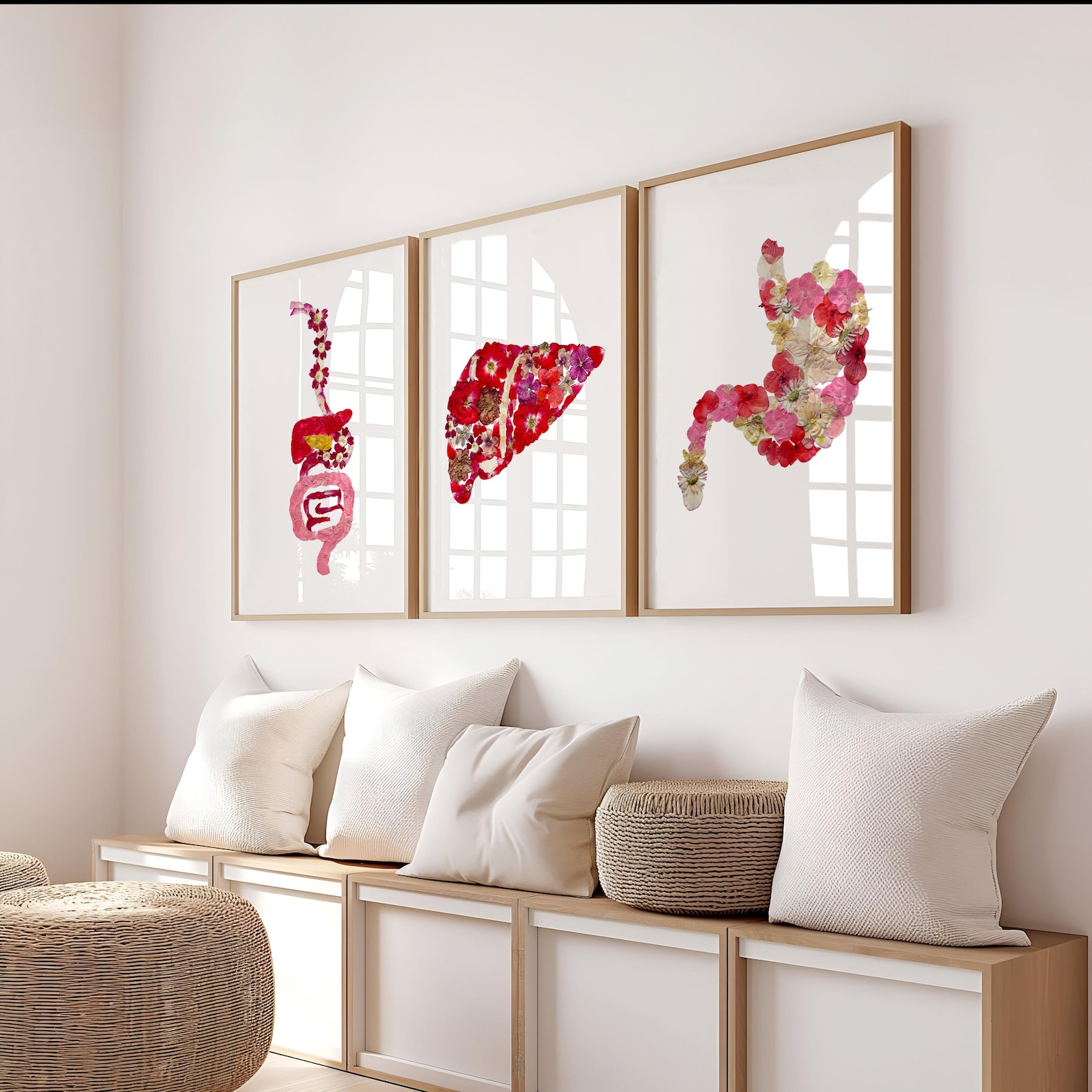 Gastroenterologist Wall Art 3 Pieces Liver, Stomach & Digestive System ...