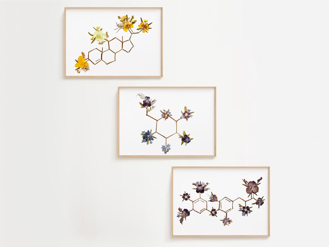Energy and Metabolism Prints – Glucose, Thyroxine, Cortisol ...