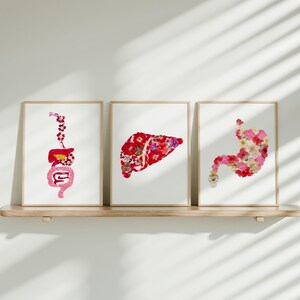 Digital Gastroenterologist Wall Art Set 3 Anatomical Prints of Liver ...