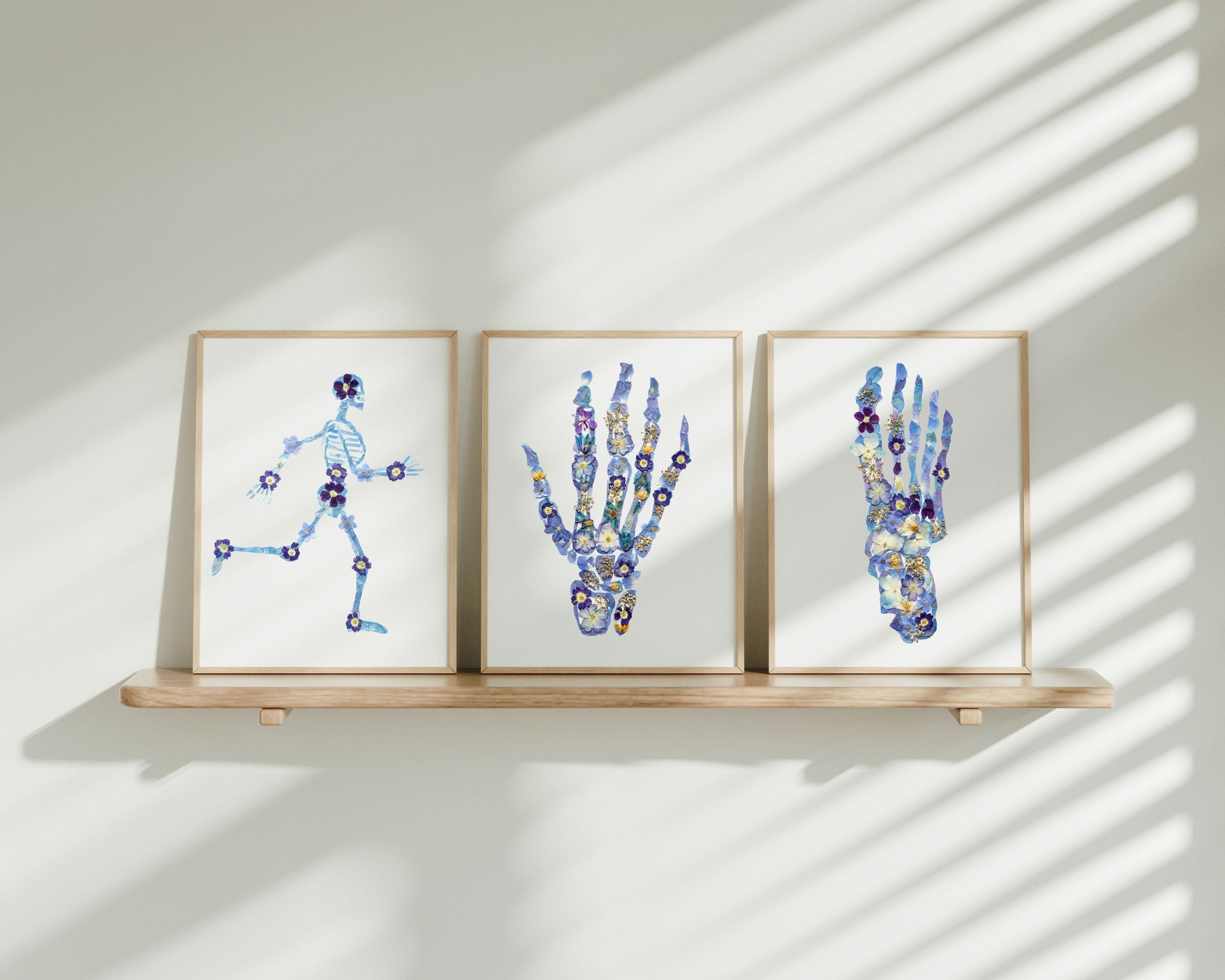 Digital Skeleton Anatomy Prints – X-ray Style Hand, Foot & Running ...