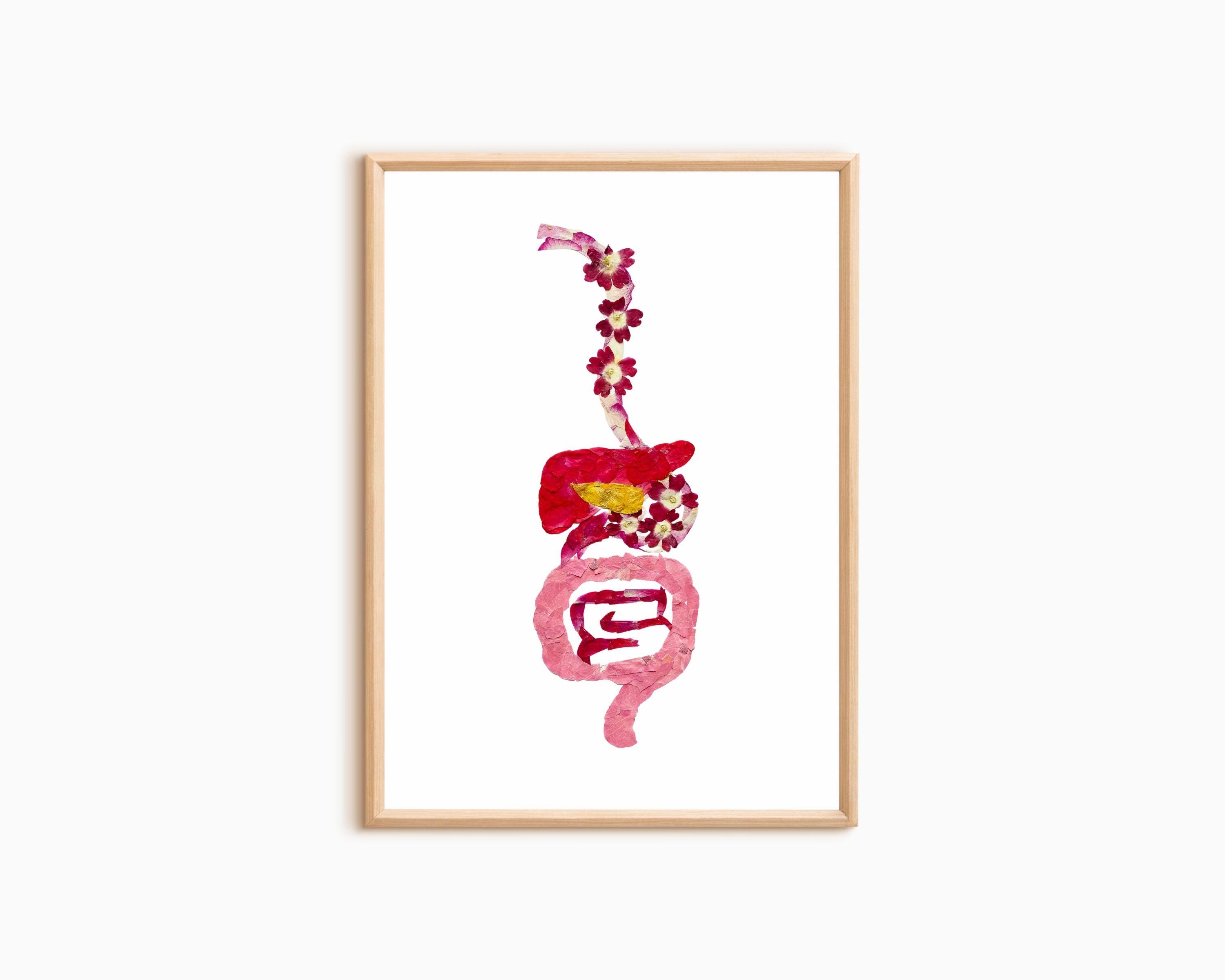 Human Digestive System Art Print – Anatomical Wall Poster, Gift for ...