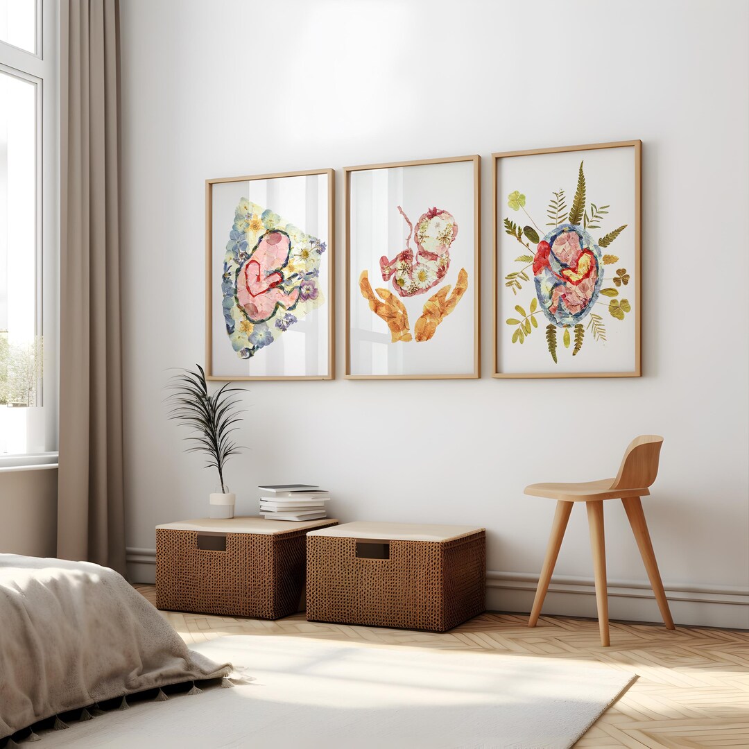 Set of 3 Pregnancy Wall Art Obstetrics Nurse Gift Baby in Womb Placenta ...