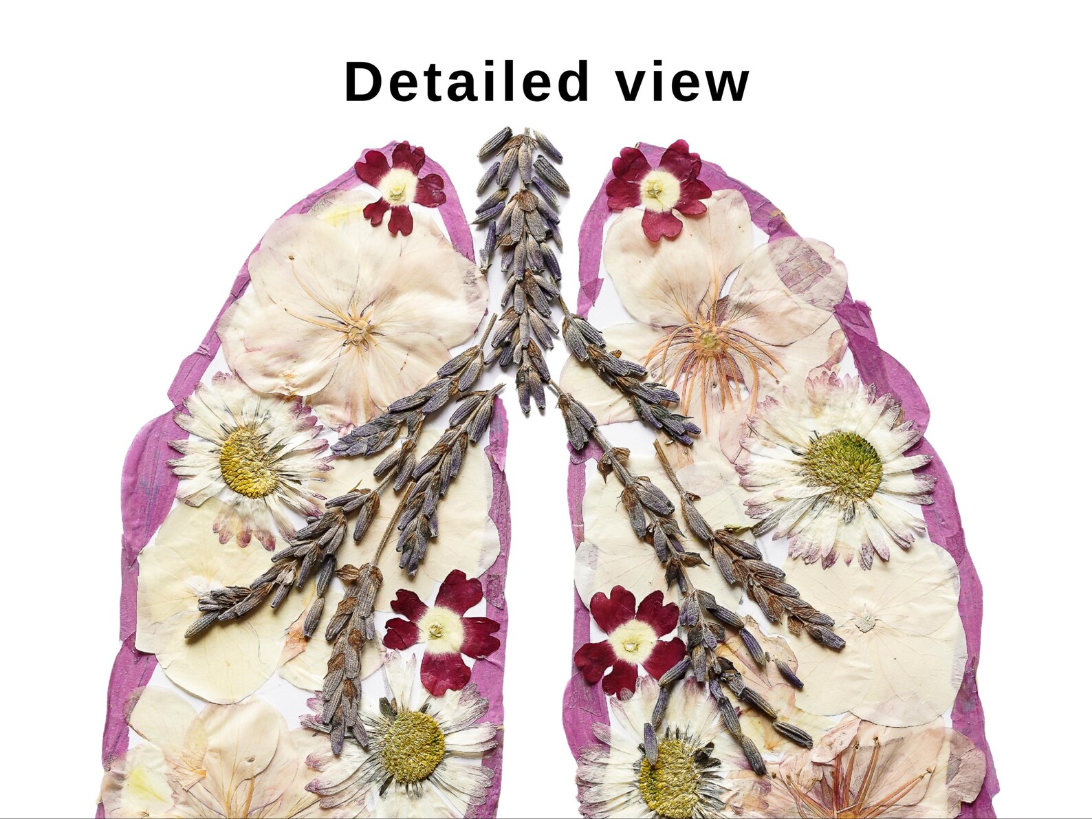 Floral Lungs Wall Art Botanical Respiratory System Print Pulmonary ...