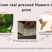 Floral Lungs Wall Art Botanical Respiratory System Print Pulmonary ...