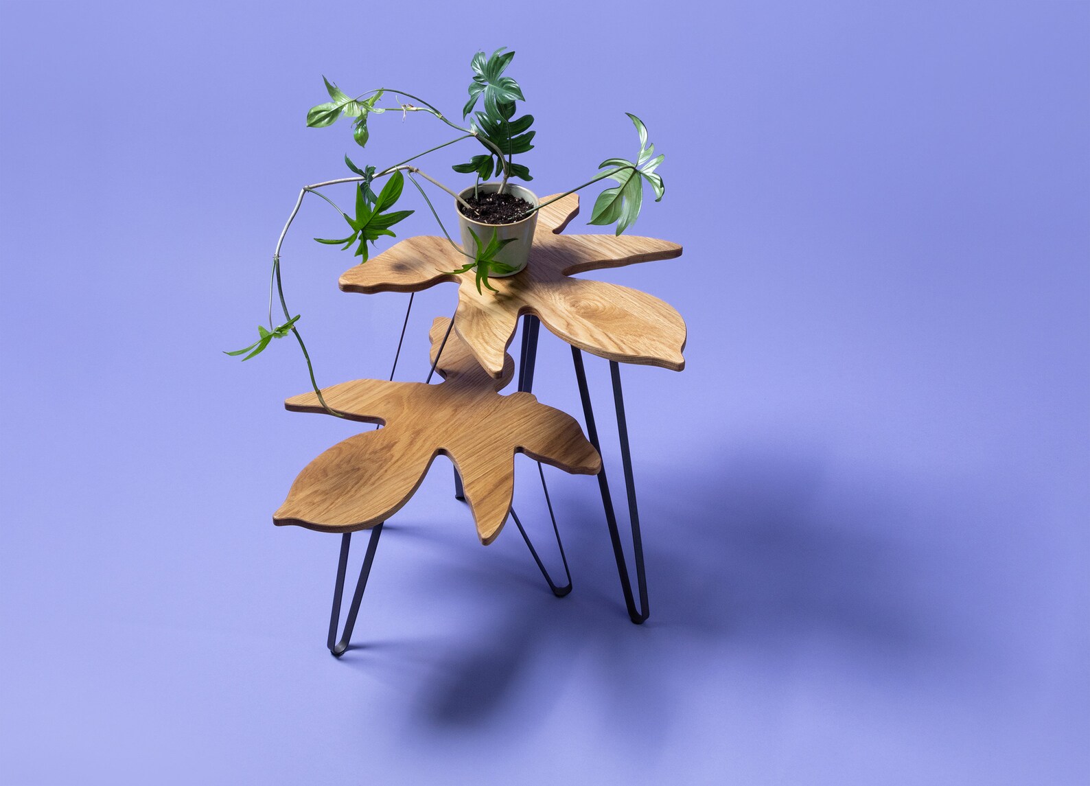 Handmade Leaf Plant Stand Set Design Plant Table Set Leaf Table Set ...