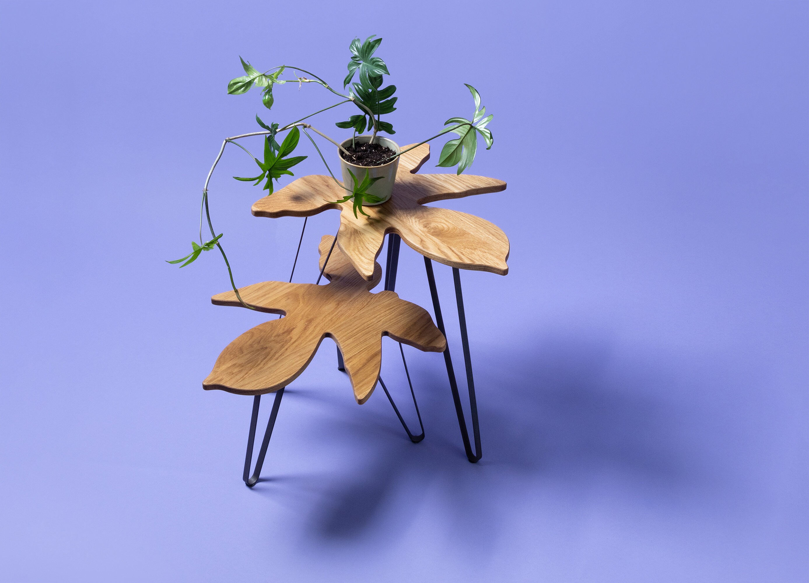 Handmade Leaf Plant Stand Set Design Plant Table Set Leaf Table Set ...