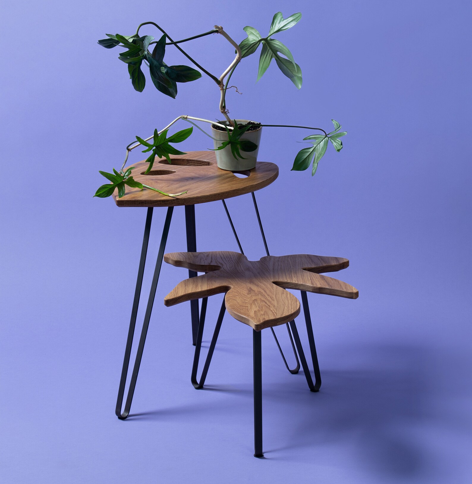 Handmade Leaf Plant Stand Set Design Plant Table Set Leaf Table Set ...