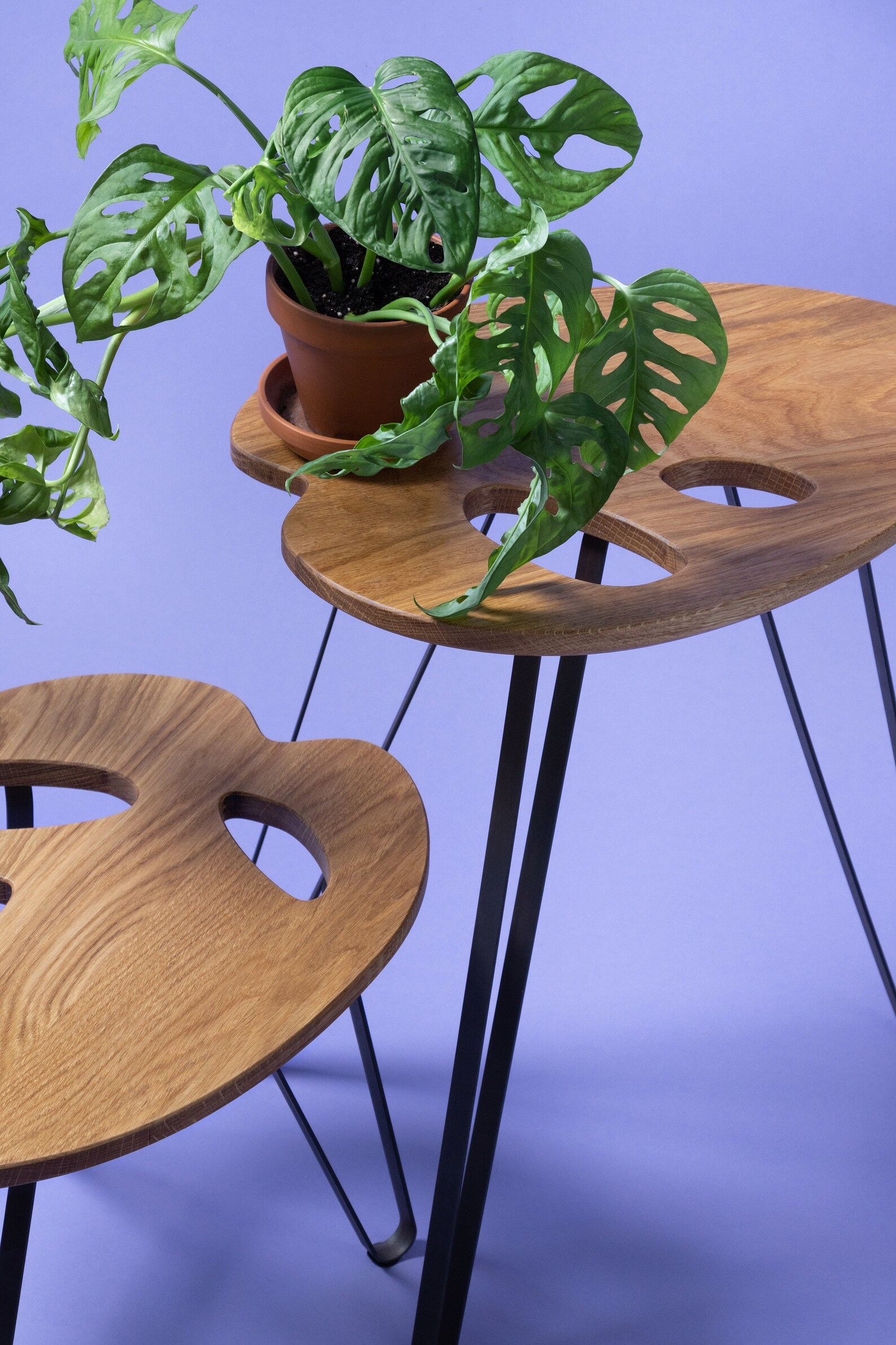 Handmade Leaf Plant Stand Set Design Plant Table Set Leaf Table Set ...