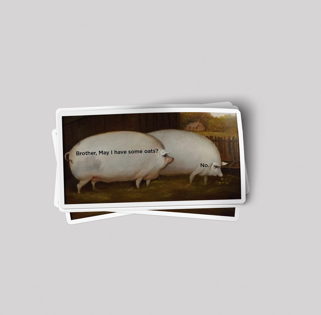 Brother Pig Sticker – Hilarious Pig Meme Vinyl Decal, Perfect for ...