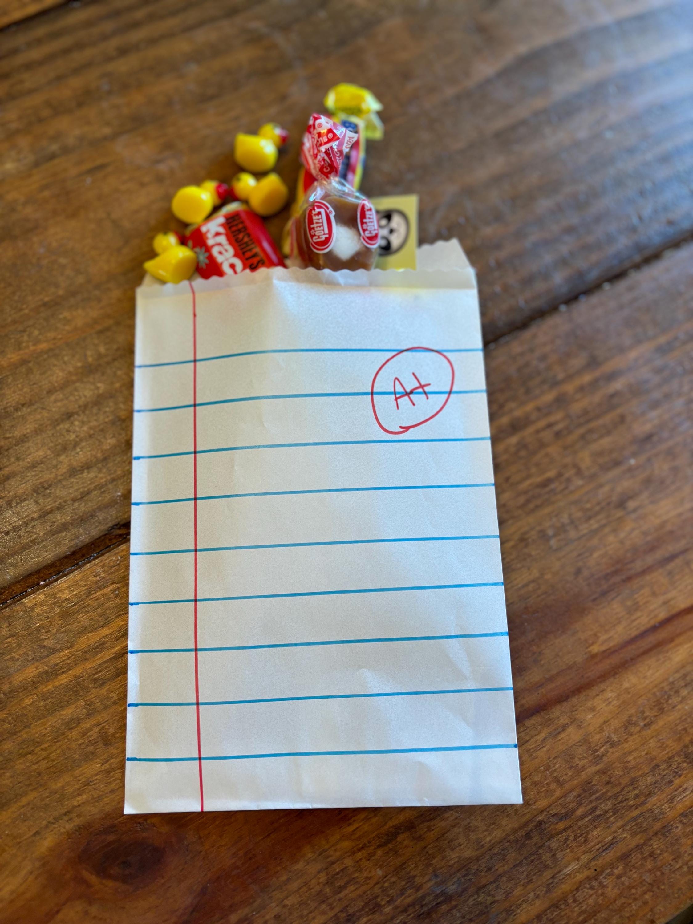 Back to School Treat Bags LINED - Teacher Reward Treat Bags - Student ...