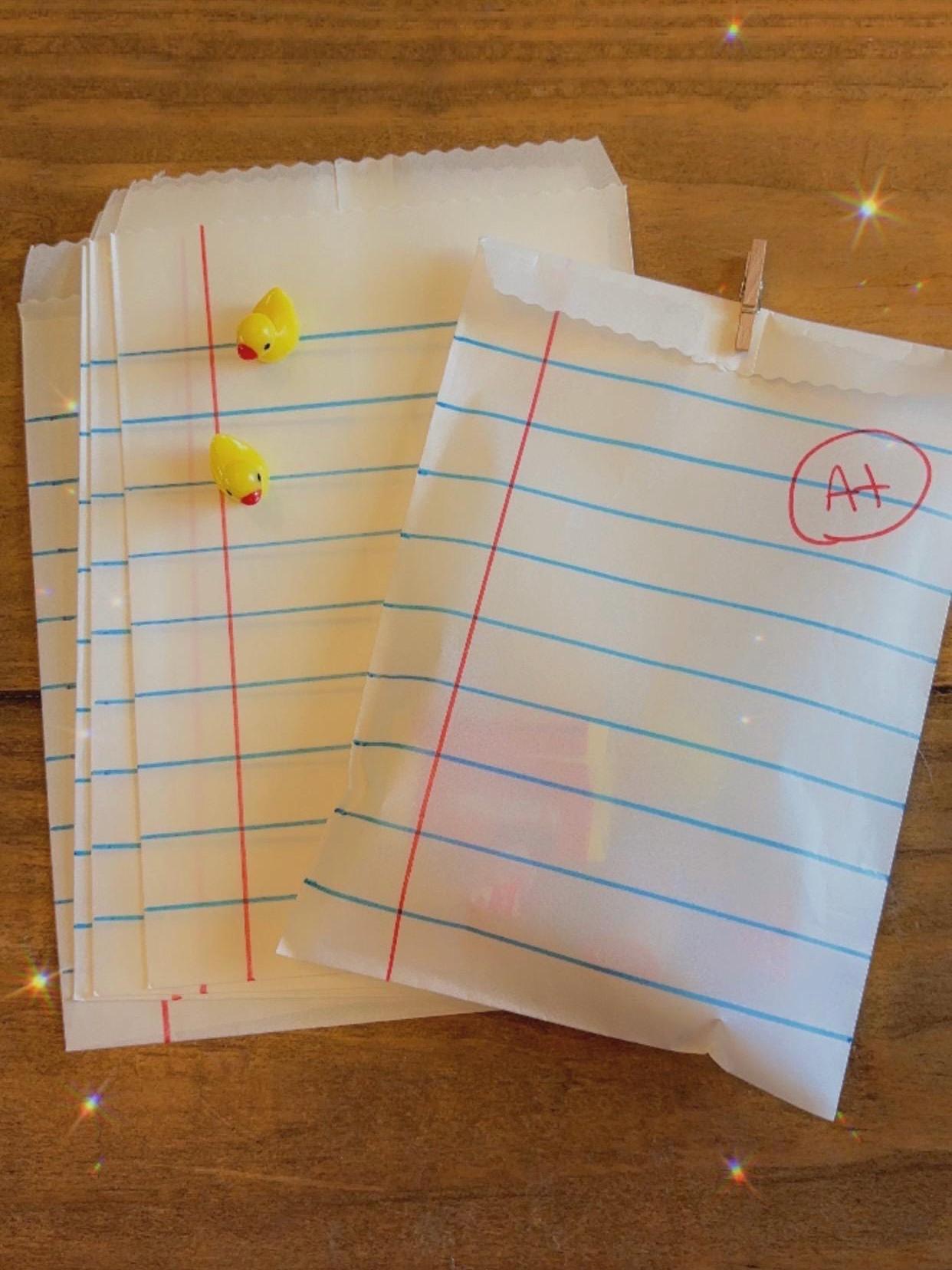 Back to School Treat Bags LINED - Teacher Reward Treat Bags - Student ...