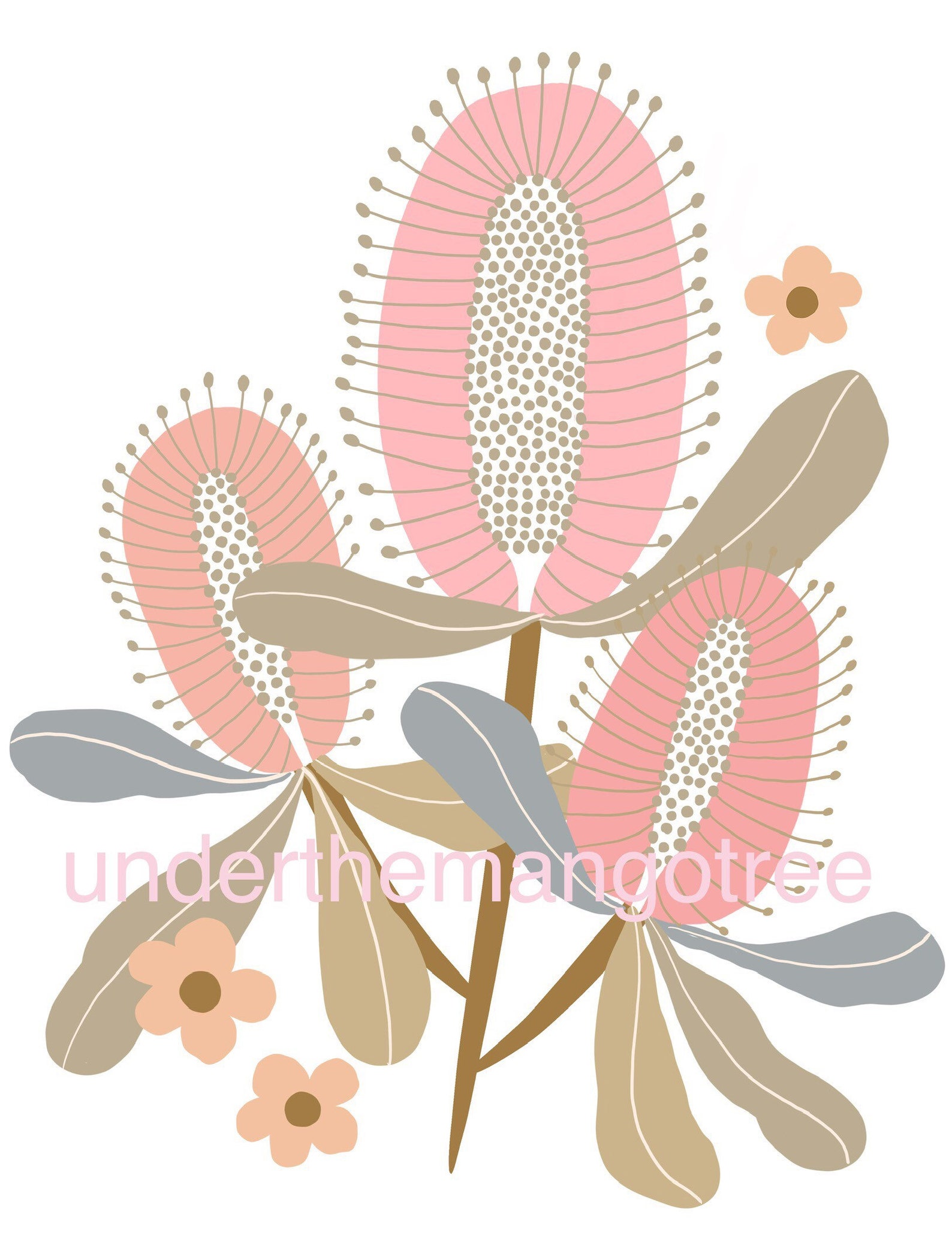 A Set of 3 Australian Native Flower Art Prints Home Decor - Etsy