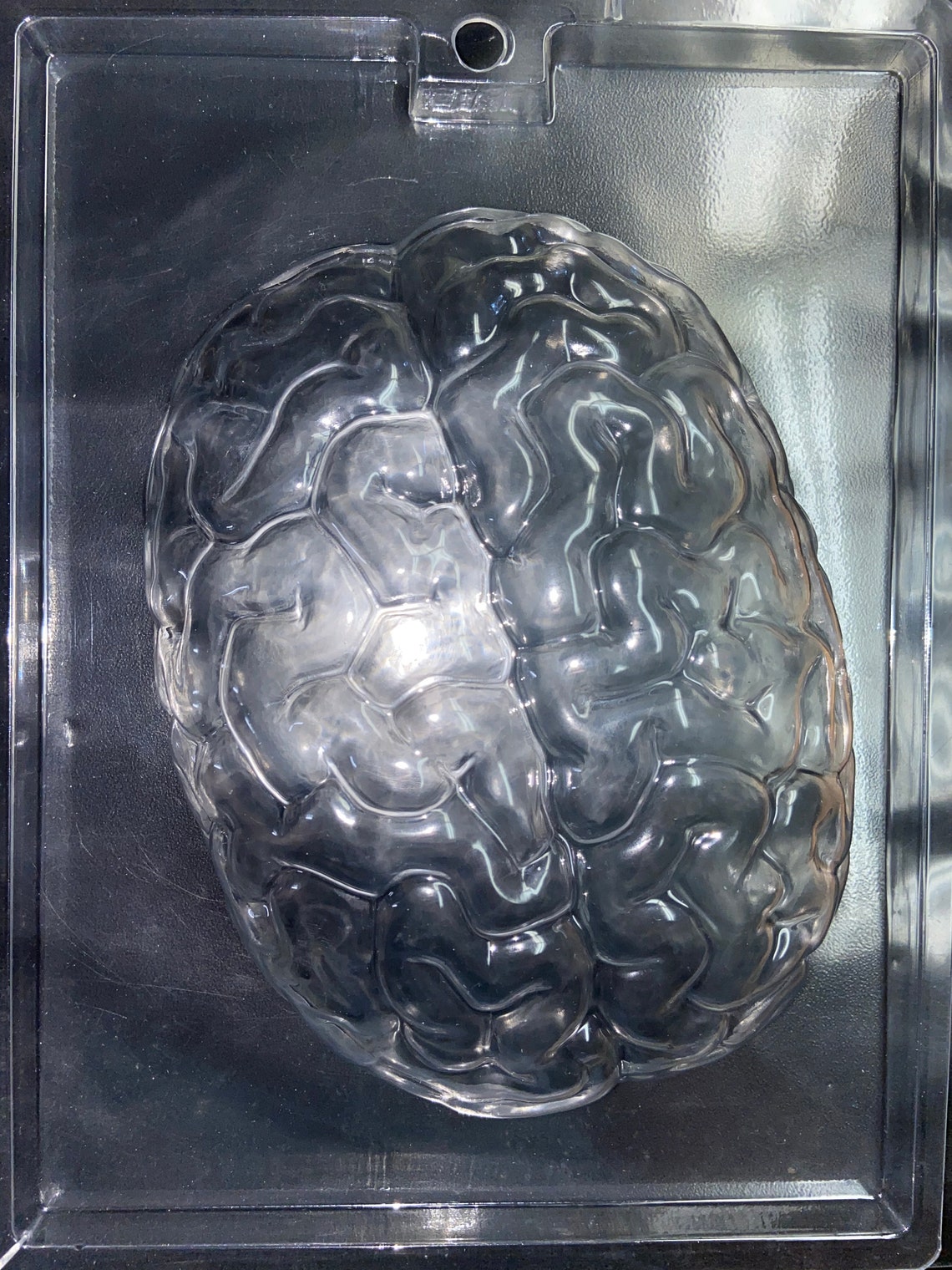 LARGE BRAIN MOLD - Etsy